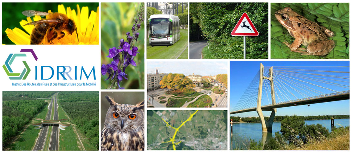 Ouverture de l'appel à projets du prix IMBP 2024 | Éditions RGRA